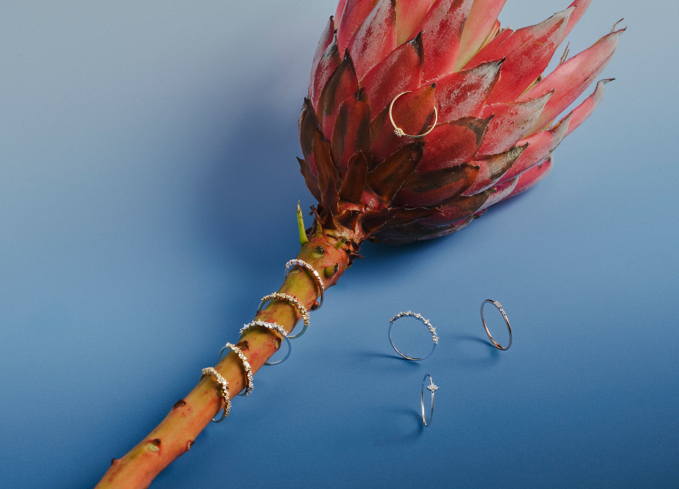 ISAGO - Indonesian Lab Grown Diamond Fashion Jewelry – Isago Jewels