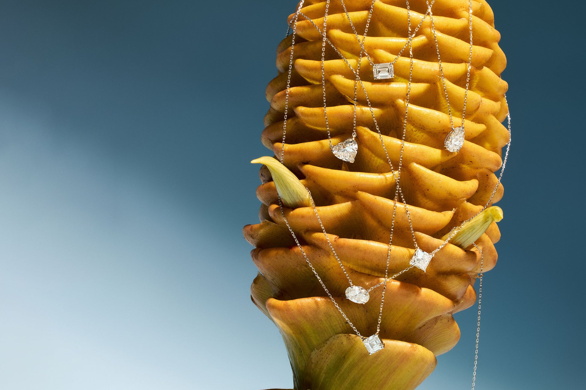 ISAGO - Indonesian Lab Grown Diamond Fashion Jewelry – Isago Jewels