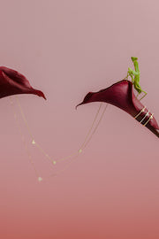 ISAGO - Indonesian Lab Grown Diamond Fashion Jewelry – Isago Jewels